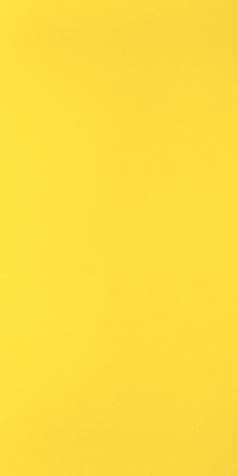 207 Divine Yellow | Greenlam Laminate | Plastics & Veneers