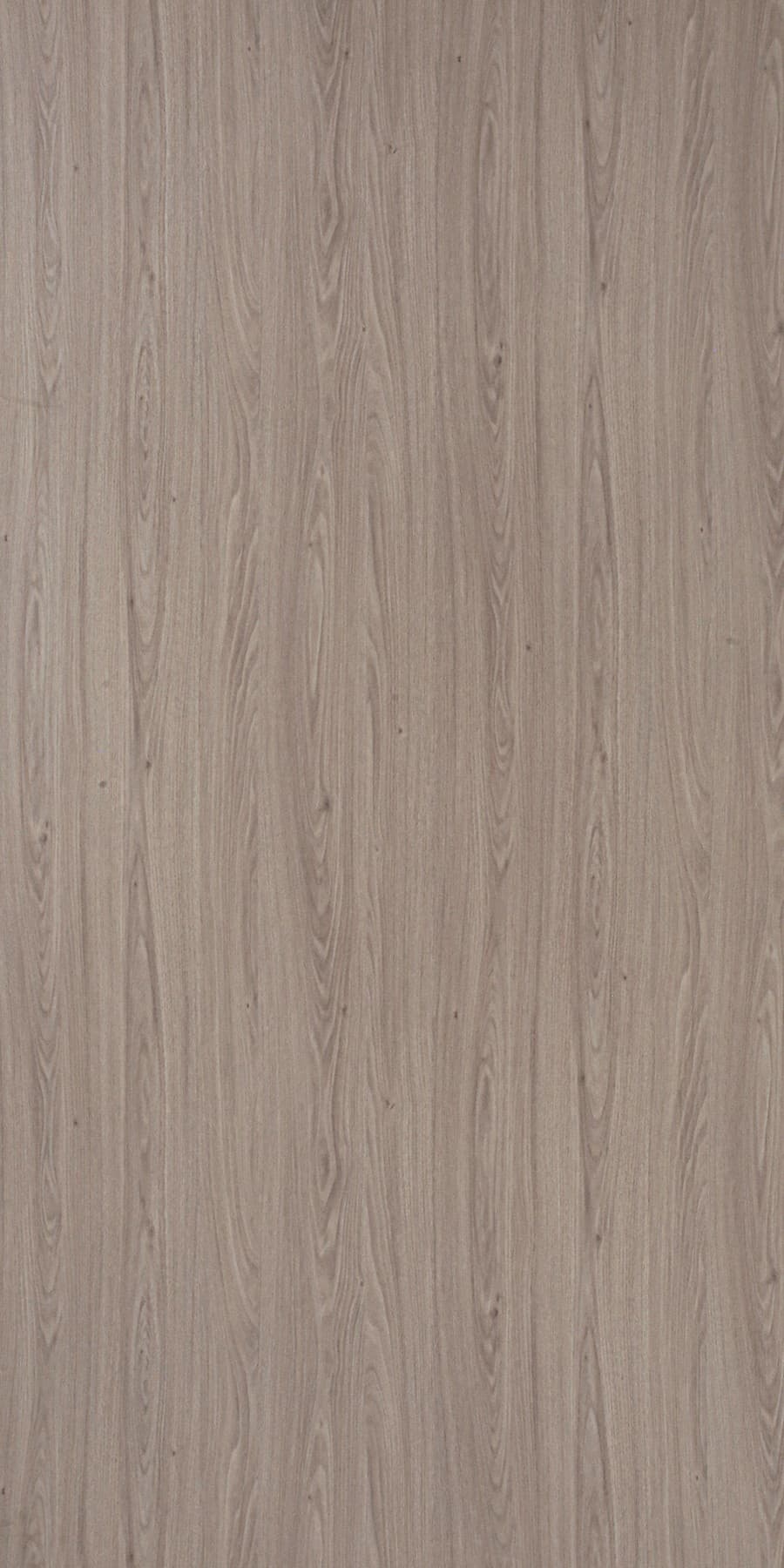 5394 Nordic Acacia | Greenlam Laminate | Plastics & Veneers