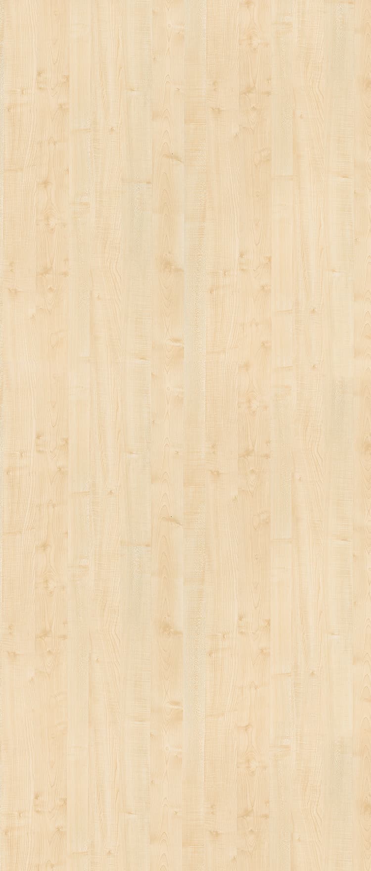 F3855 Clear Maple | Formica Laminate | Plastics & Veneers