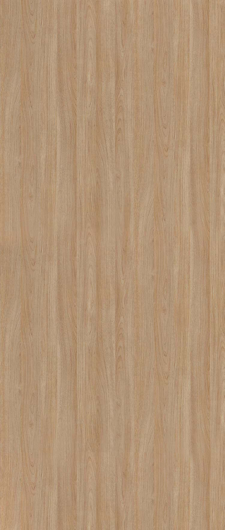 F5374 Elegant Oak | Formica Laminate | Plastics & Veneers